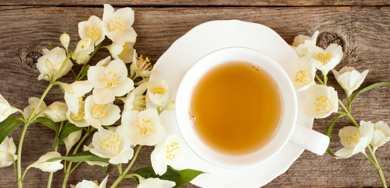 Plate Lady | Plate Lady